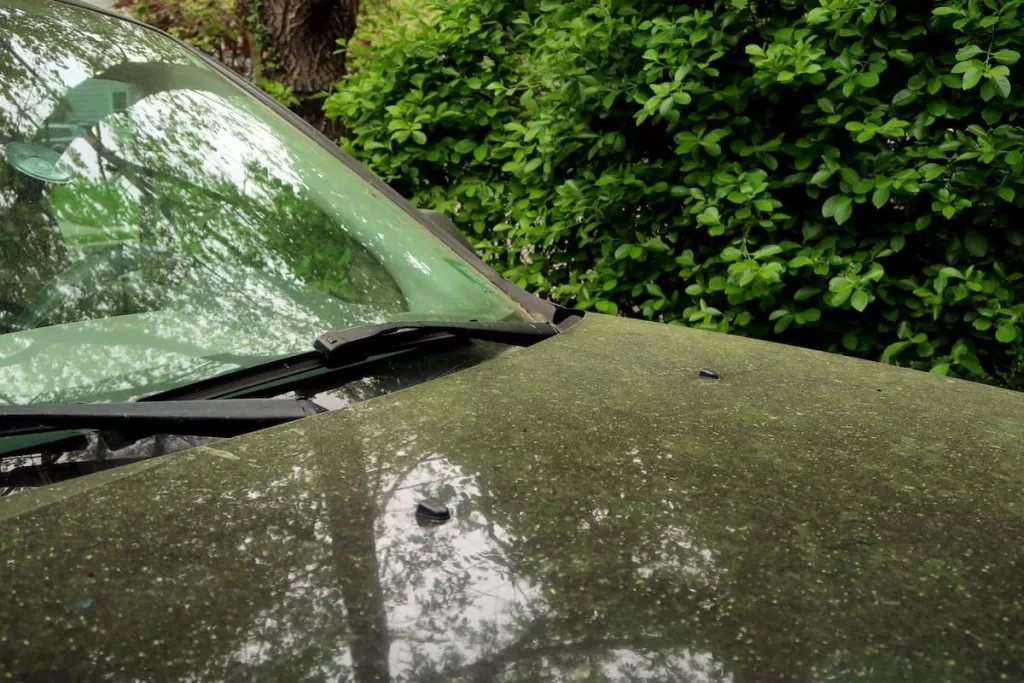 Pollen and Your Car - Mint Mobile Detail